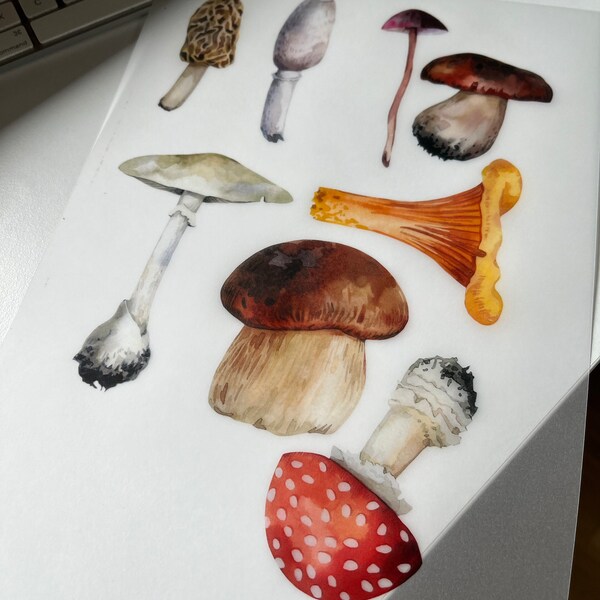 Watercolor Mushrooms Clipart, Fall Clipart, Thanksgiving Clipart, Fall ...