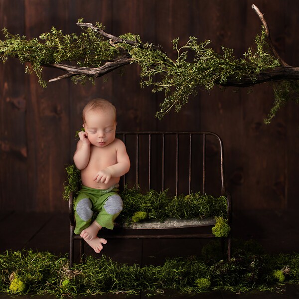 Newborn Digital Backdrop Foresty Green Look Digital Prop, Newborn ...