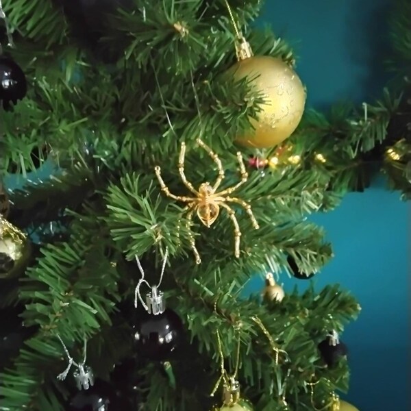 Goldilocks Spider is Looking for a Home - Halloween, Goth, Pagan ...