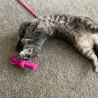 CATS MEOW Catnip Pillows Set of 2 Catnip Toys With Organic - Etsy