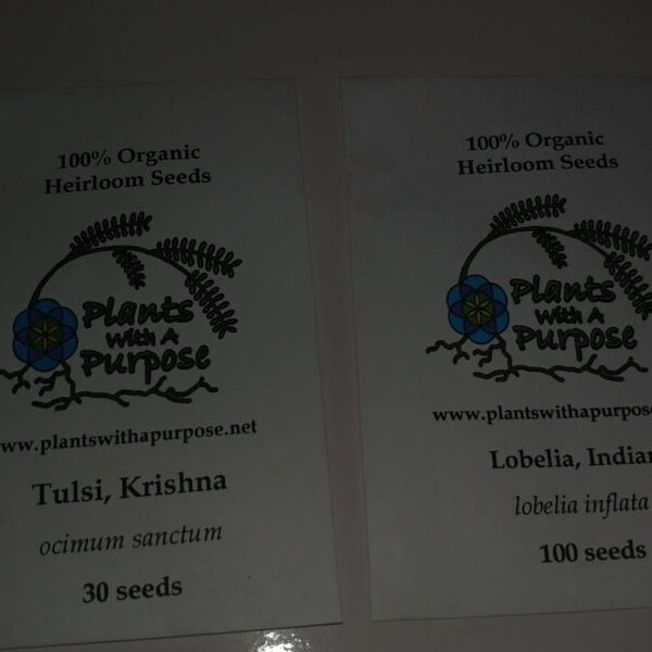 Medicinal Seeds, Krishna Tulsi, Holy Basil, Ocimum Sanctum, 30 Seeds ...