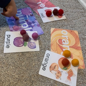 Digital Download 3 Part Nature Themed Color Cards, Three Part ...