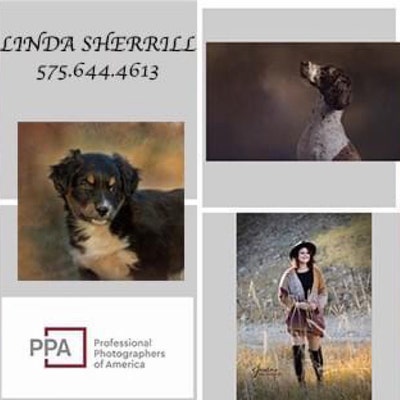 INSTANT DOWNLOAD 5x7 and 8x10 Group Composite, Memory Mate, Photoshop ...