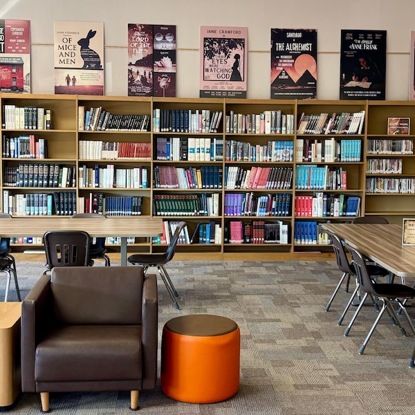 Classic Literature Posters: High School English Classroom Decor Vintage ...