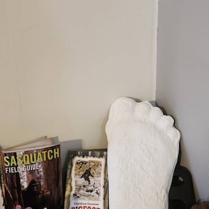 Bigfoot Footprint Cast: 1967 Patterson Gimlin Film Site at Bluff Creek ...