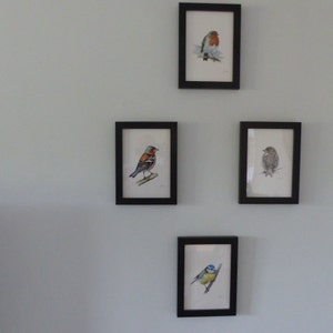 Wren: Signed Print of an Original Watercolour Painting by Jan Taylor ...