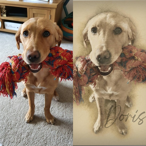 Editable Chores Schedule | Printable | Weekly, Rota Checklist ...