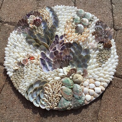 Abalone Shells Seashells Shells Craft Shells Beach Decor - Etsy