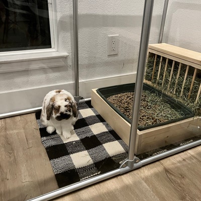 Medium Hop Box: Rabbit Bunny Hay Feeder and Litter Pan Combo - Etsy