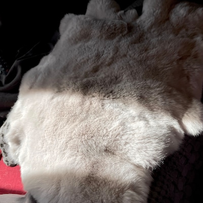 Real Luxury Fox Pelt , Red Fox Pelt ,genuine Fox Pelt , 100% Red Fox ...