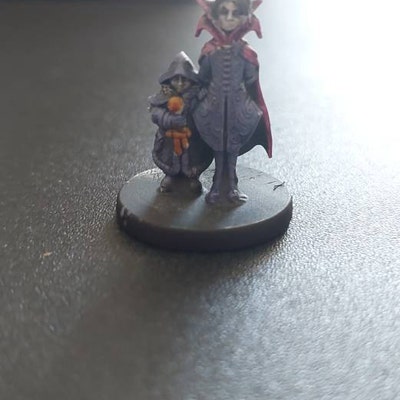 Custom 3D Printed BG3 Baldur's Gate 3 III Shadowheart Miniature/statue ...