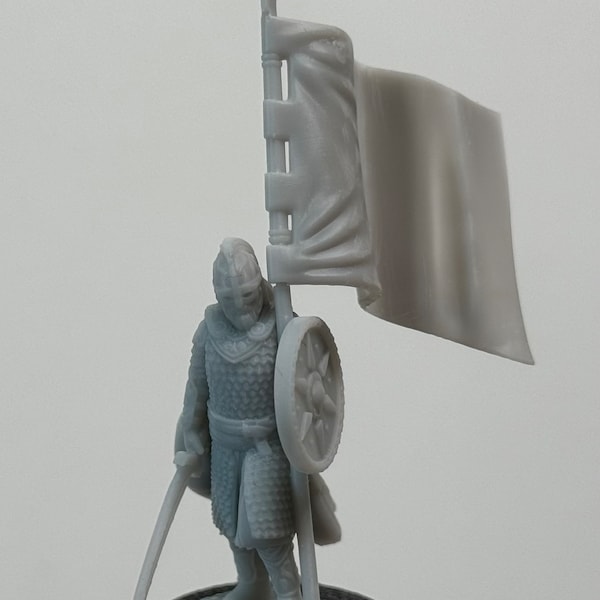 West Human Royal Guard Banner 28mm Dnd Miniature Dungeon and Dragons ...