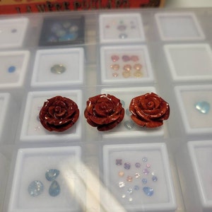 16.9x14.0mm Natural Deep Sea Angel Skin Color Coral Oval - Etsy