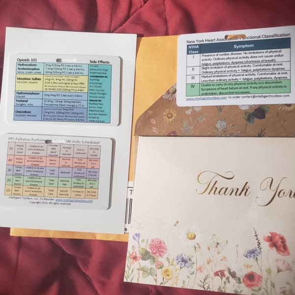 Hospice Nurse PPS FAST Scales Reference Card, Palliative Care PVC Badge ...