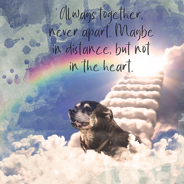 10 Stairway to Heaven Sky Overlays, Blue Sky, Clouds, Tribute, After ...