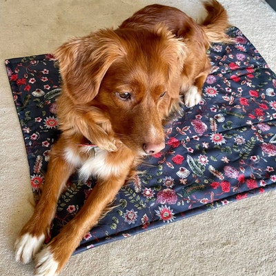 Travel Mat for a Dog, Outdoor Dog Mat, Roll up Dog Mat, Personalized ...