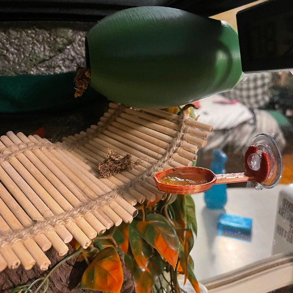 Stroodies Spoons for Crested Geckos (includes Suction Cups) - Etsy