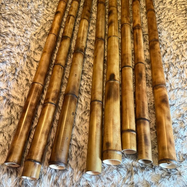 2" Green Bamboo 2pk Fresh Cut 100% Natural Grown Bamboo in USA Bamboo ...