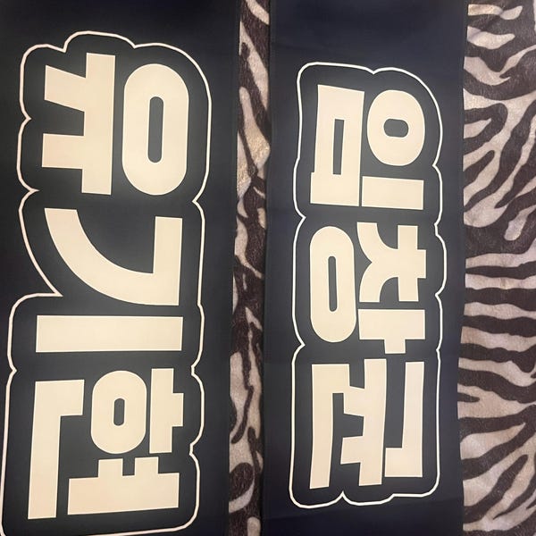 TXT Taehyun Reflective Slogan Banner - Etsy
