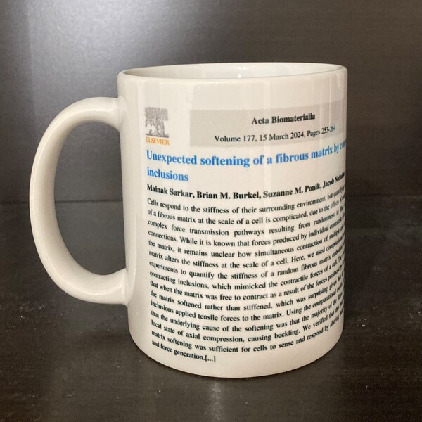 Publication Mug, Custom Quote, Phd Student Gift, Phd Graduation Gift ...