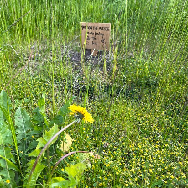 Handcrafted Wooden Triangle Book Saver and Stand, Book Store, Book ...