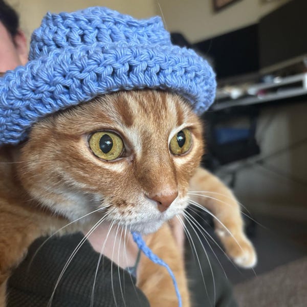 Crochet Pattern Summer Cat Bucket Hat Easy Beginner Crochet Cat Hat ...