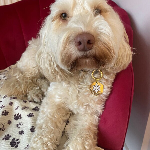 O-rings, Lobster Clasps, Carabiner, Pet ID Tag Clasp, Dog ID Tag Clasp ...