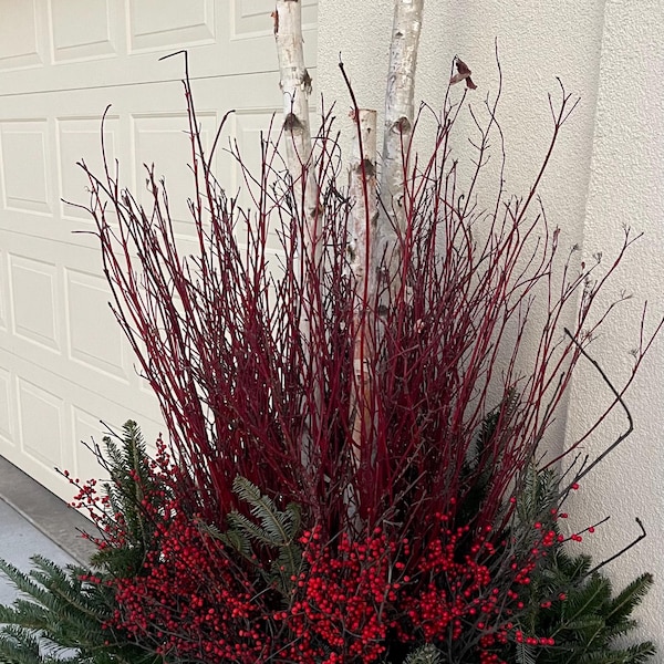 Mason Factory Bluebill Duck Decoy - Etsy