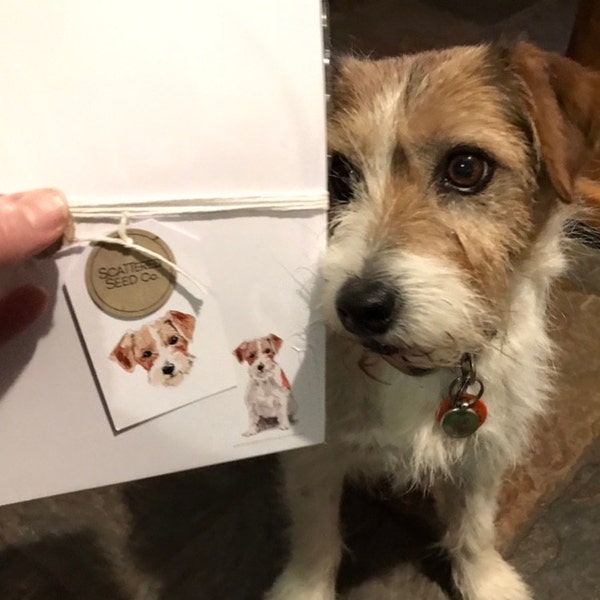 DOG Notepaper Set - Set of 20 - Dog Stationery - Choose Your Dog Breed ...