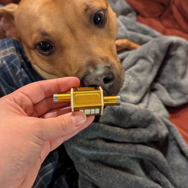 2 Inch Tall Odo Bucket Ornament, 3D Printed Replica, DS9 - Etsy