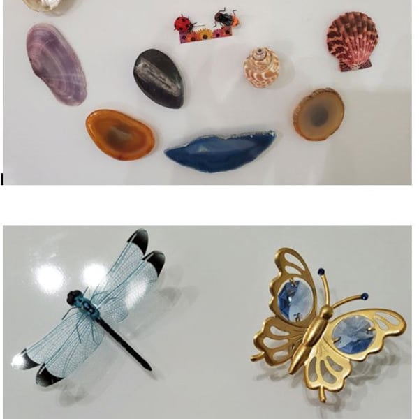 Cicada,4 Colors/1set, Bug Magnet, Handmade Clay Magnet Insect Figurine ...