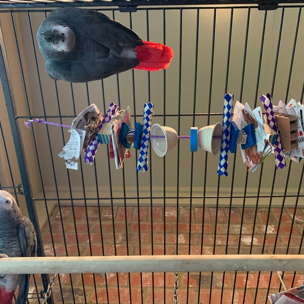 10 Natural Cardboard Munchie Cups: Parrot Foraging Toy Parts - Etsy