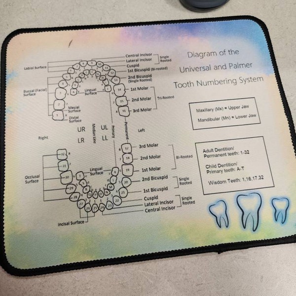 Tooth Numbering Diagram Mouse Pad for Dentist Offices & Students. Tooth ...