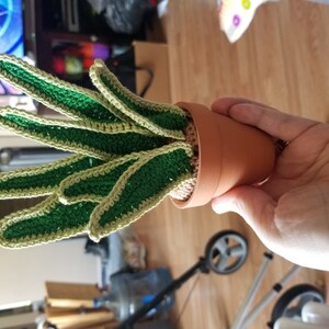 Spider Plant Crochet Pattern Amigurumi Houseplant - Etsy