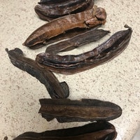 Prekese / Aidan Fruit / Tetrapleura Tetraplera / 6 Pieces / 10 Pieces ...