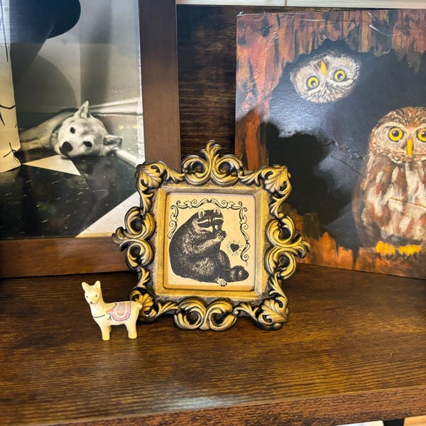 Raccoon Print in Baroque Frame: Vintage Style Mini Art - Etsy