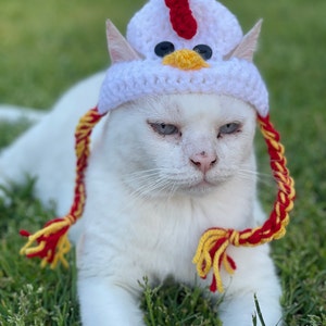 Valentines Day Hat for Cats Heart Cat Hat Valentines Day Cat - Etsy