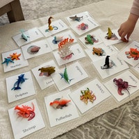 Editable Safari Animals Flashcards for Kids, Montessori Animal Name ...