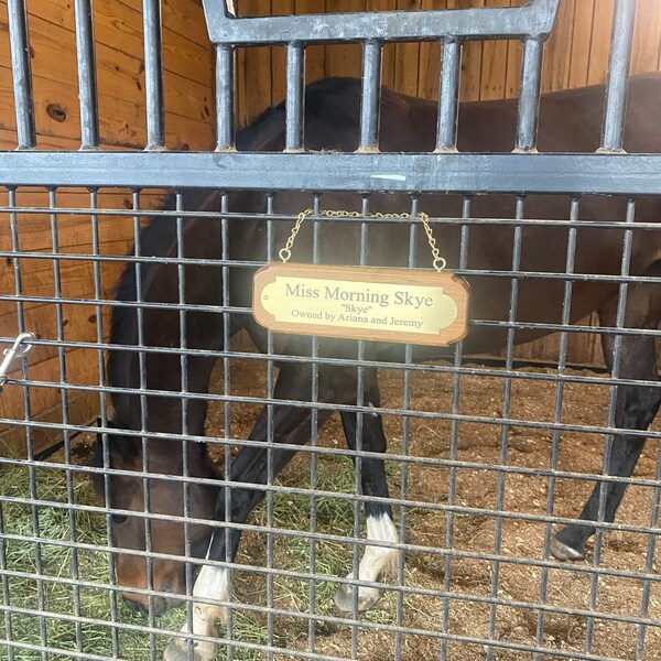 Fancy Horse Stall Name Plate- Solid Brass and Wood - Personalized ...