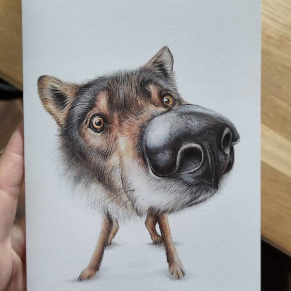 Bison Card, Birthday Card, Greeting Card, Whimsical Cards, Blank Cards ...