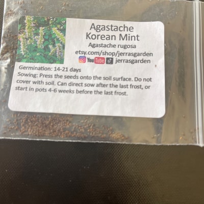 Tromboncino Rampicante Huge Italian Heirloom Zucchini Squash Vegetable ...