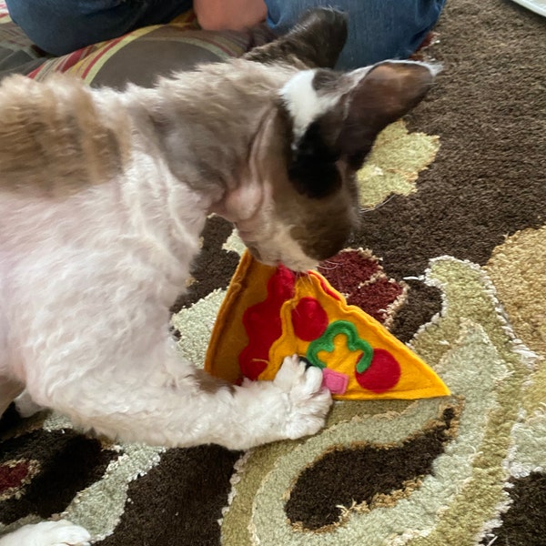 Cat Toys Catnip Pizza Catnip Toy for Cat Gift for Cat Lover Organic ...
