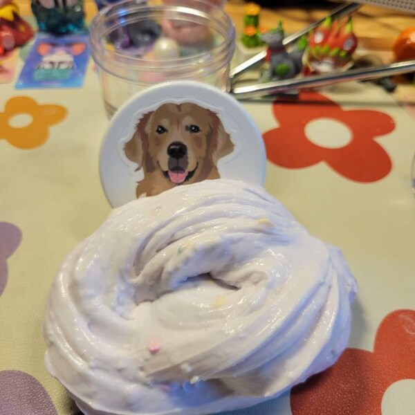 Custom Slime Order *READ ITEM DETAILS!* - Etsy