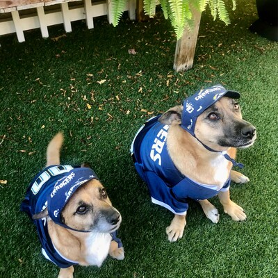 Dog Hat LA Chargers Sports Fabric - Etsy