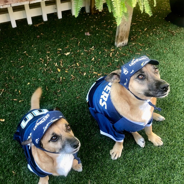 Dog Hat - LA Chargers Sports Fabric - Etsy