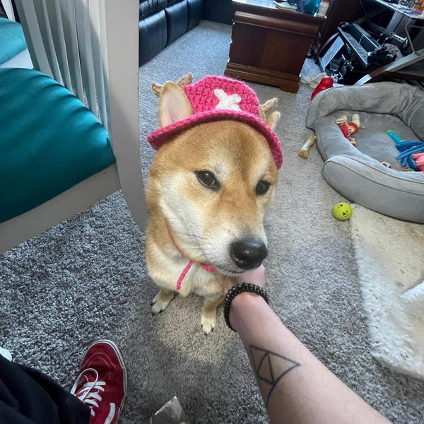 One Piece Anime Handmade Crochet Hat Tony Chopper Blue & Pink Hat ...