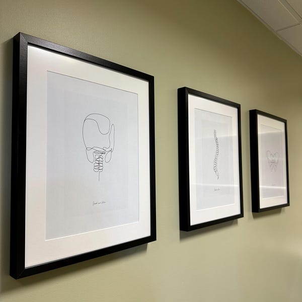 12 Human Skeleton Bundle | Medical Wall Art Anatomy, Bone Sketch Poster ...