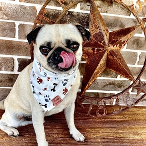 Concha Dog Squeaky Toy Concha Toy Mexican Sweet Bread Toy | Etsy