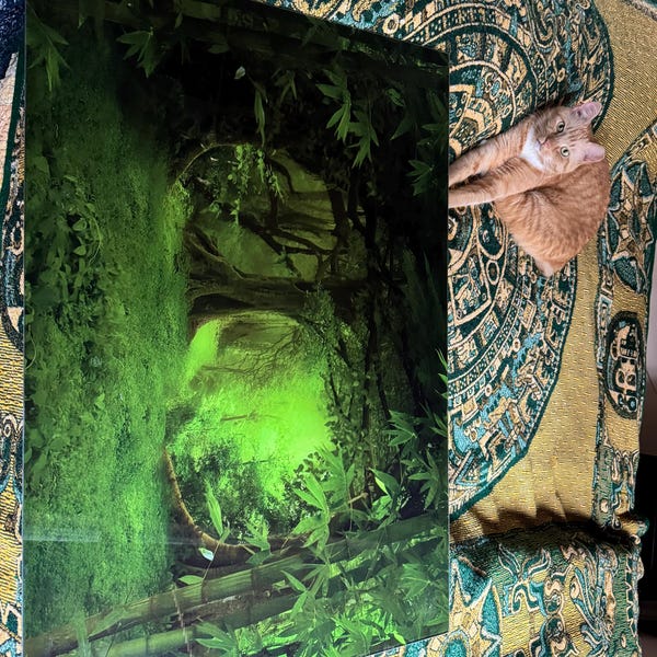 Tempered Glass Wall Art / Stained Wall Art / Tree of Life Wall Decor ...