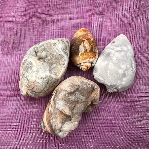 Spiralite Agatized Fossil Seashell: Chalcedony Crystal Shell - Etsy